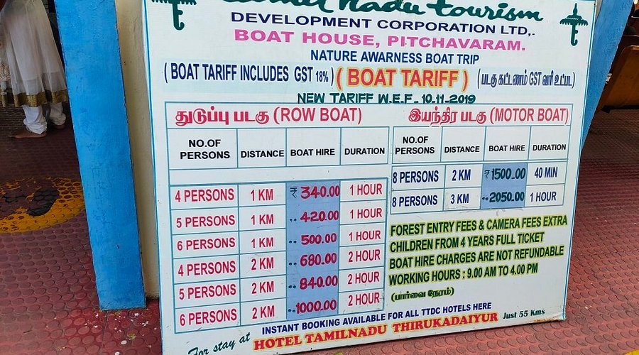 Exploring Pichavaram Mangrove Forest Timings and Tips